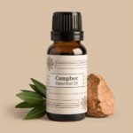 Camphor Essential Oil: Benefits and Uses for Wellness