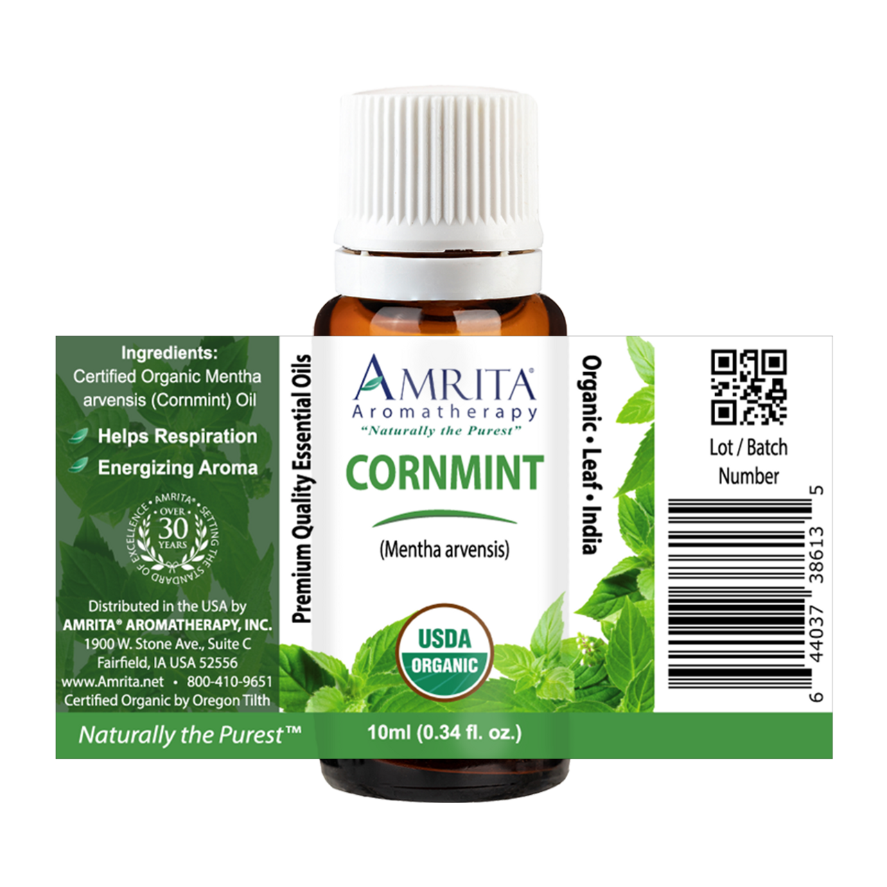 Cornmint Organic Essential Oil by Amrita - The Essential Oil Advisor